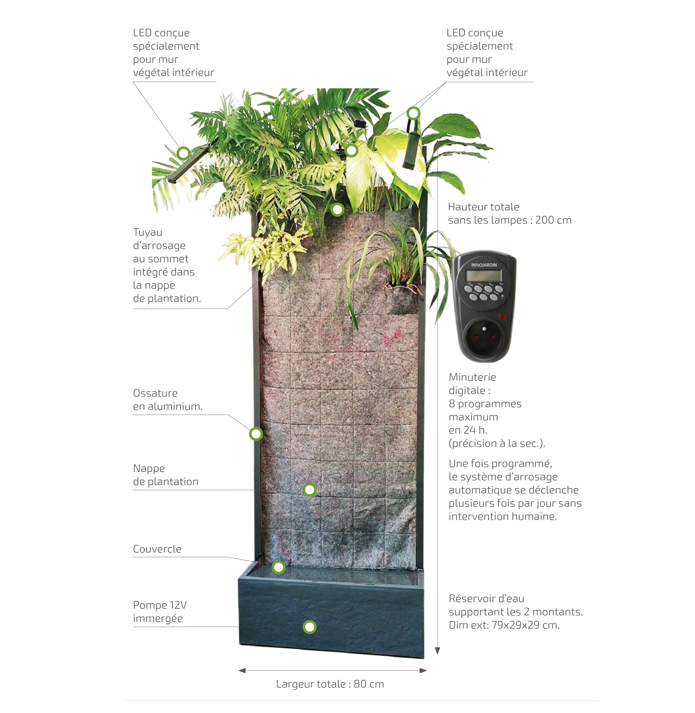 Murs végétalisés pour l'intérieur et espaces professionnels